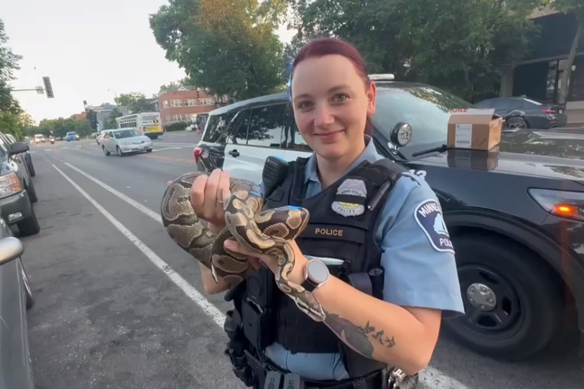Fifth Precinct Officers Rescue Boa Constrictor from Rideshare Vehicle