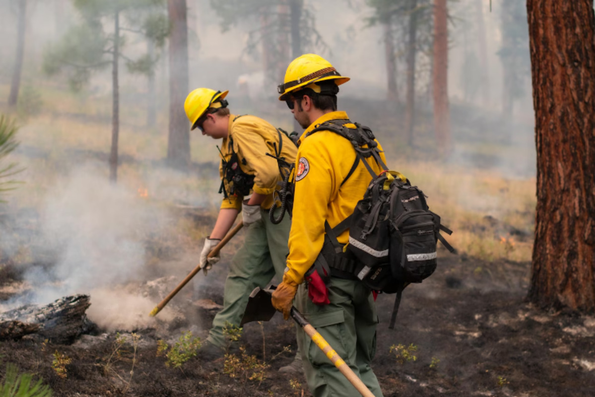 Firefighters Press On Against the Falls Fire as Containment Reaches