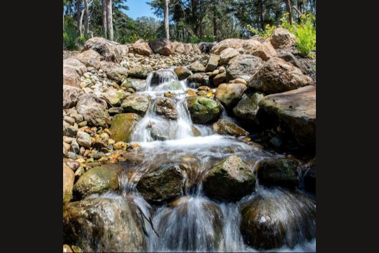 Golden Gate Park's Middle Lake Undergoes Major Ecological