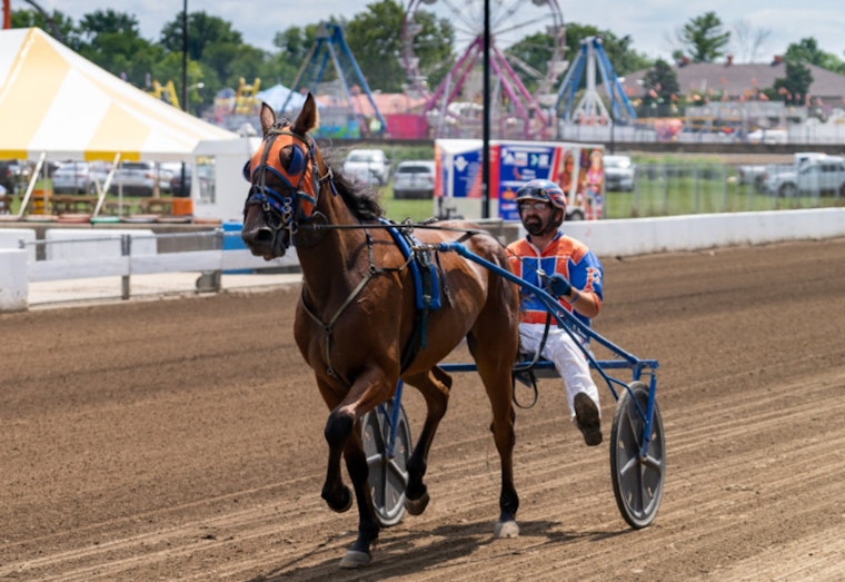 Harness Racing Takes Center Stage at Illinois State Fair's Horse
