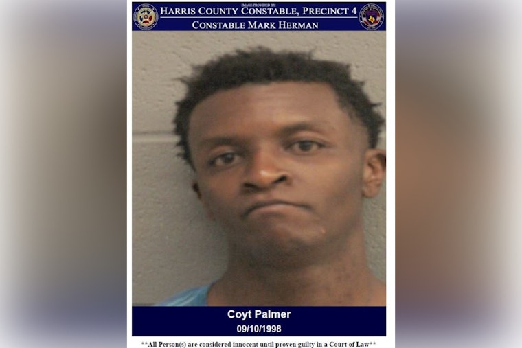 Harris County Man, Coyt Palmer, Charged with Harassment and Stalking