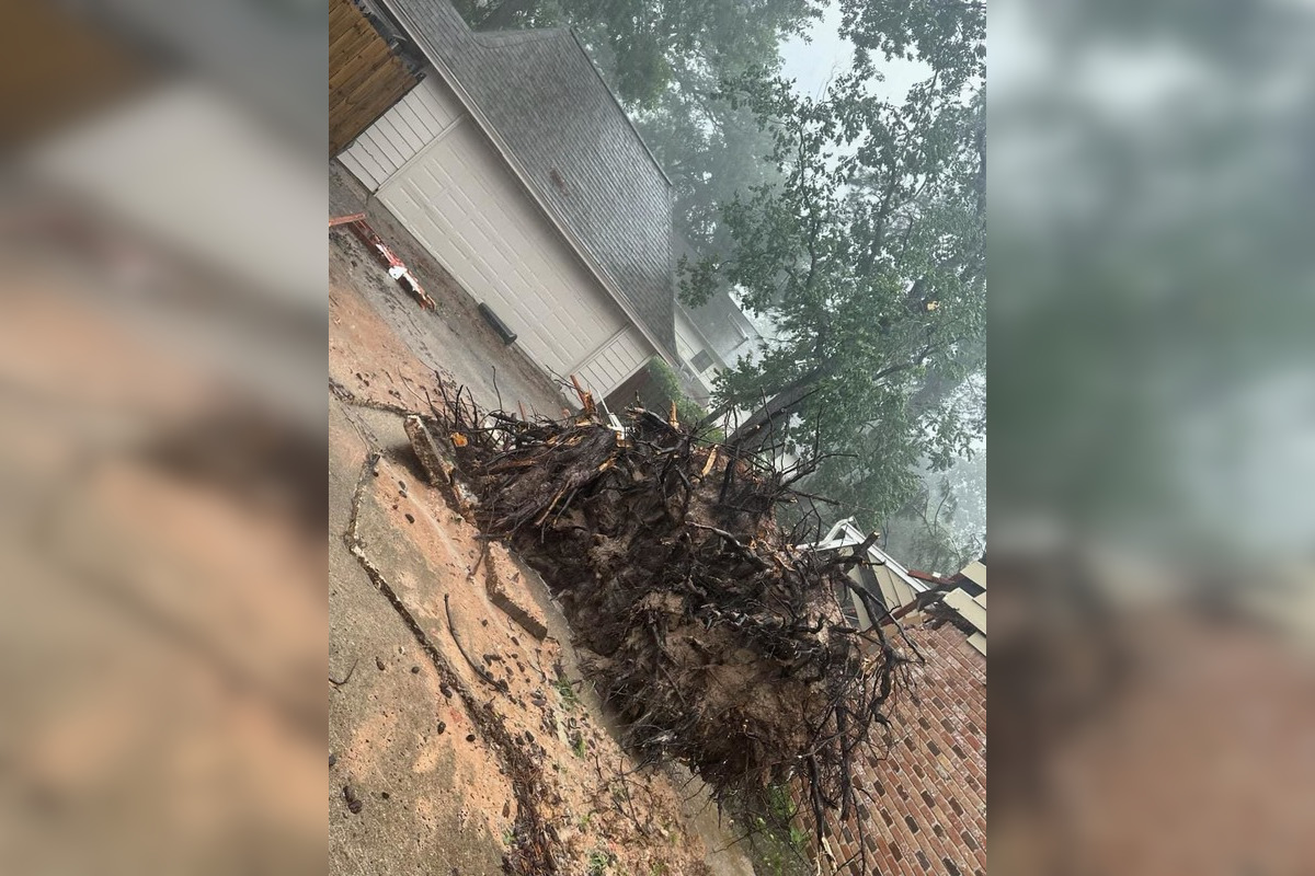 Hurricane Beryl's Lethal Impact: Man Killed by Fallen Tree in Humble,
