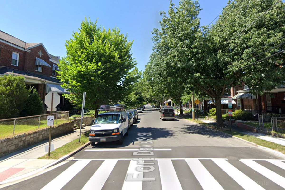 Metropolitan Police Seek Public's Aid to Recover Stolen French Bulldog