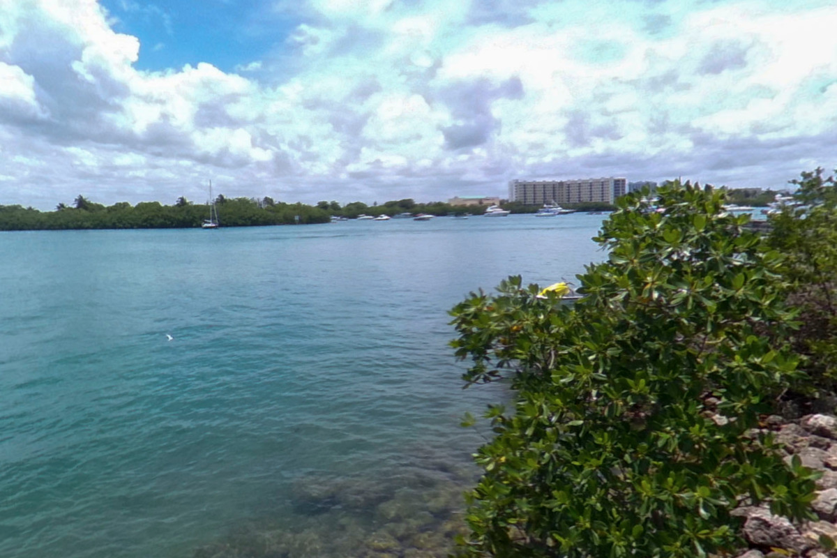 Miami-Dade County Issues Water Quality Advisory for Select Beaches