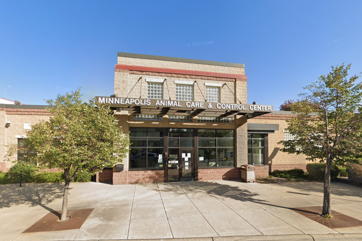 Minneapolis Animal Care & Control Hosts Adoption Drive to Alleviate