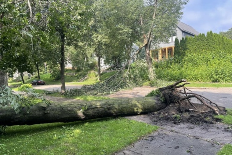 Minneapolis Reels from Storm Aftermath as Crews Tackle Downed Trees