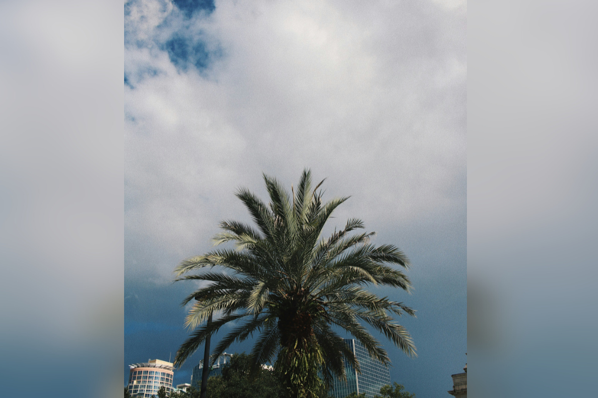 Mixed Weather Predicted for Orlando with Storms and Heat Advisory,