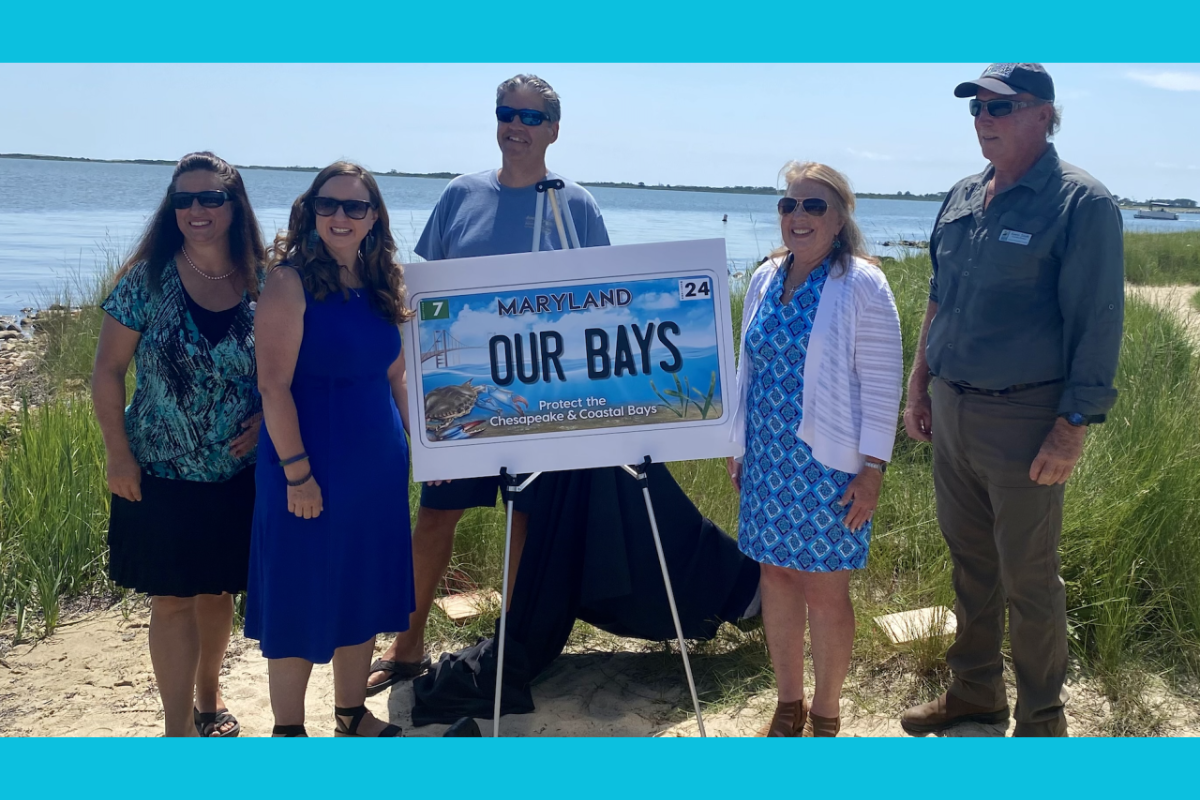 New Maryland License Plates Highlight Chesapeake Bay Conservation