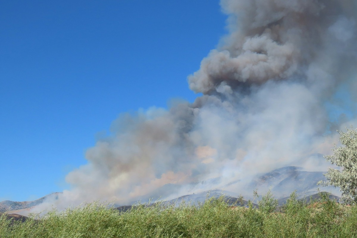 Newbury Park Residents Briefly Evacuated as 'View Fire' Engulfs 14.2