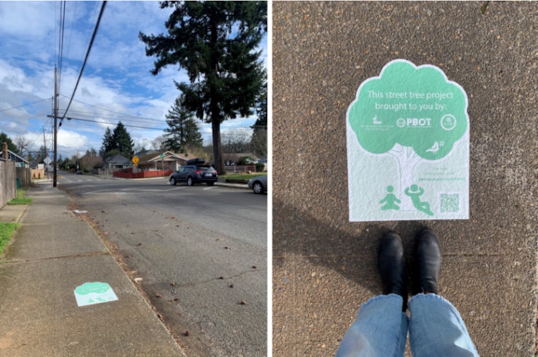 Portland Launches Innovative Trees in the Curb Zone Pilot to Boost