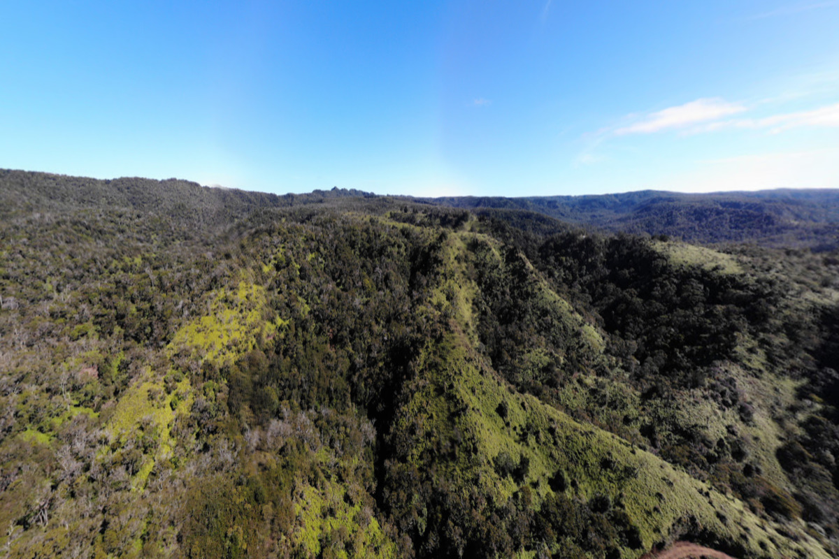 Progress in Containment as Koke‘e State Park Wildfire Reaches 70%