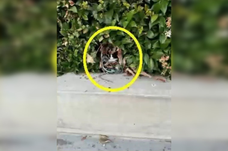 Residents on Alert as Hidden Cameras Found in Southern California