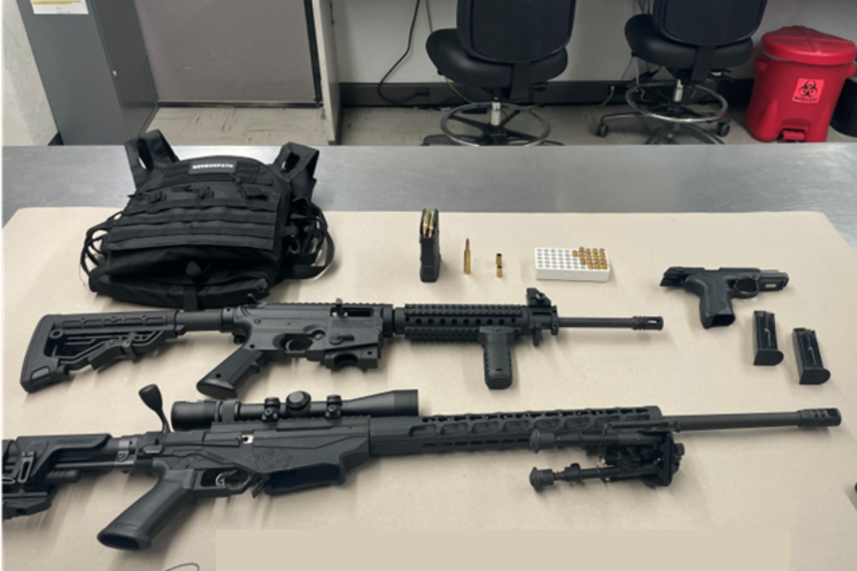 San Jose Police Recover Stolen Puppy and Seize Firearms, Suspect