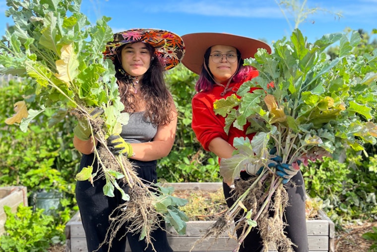 Seattle Awards $1.9 Million in Grants for Food Equity Initiatives