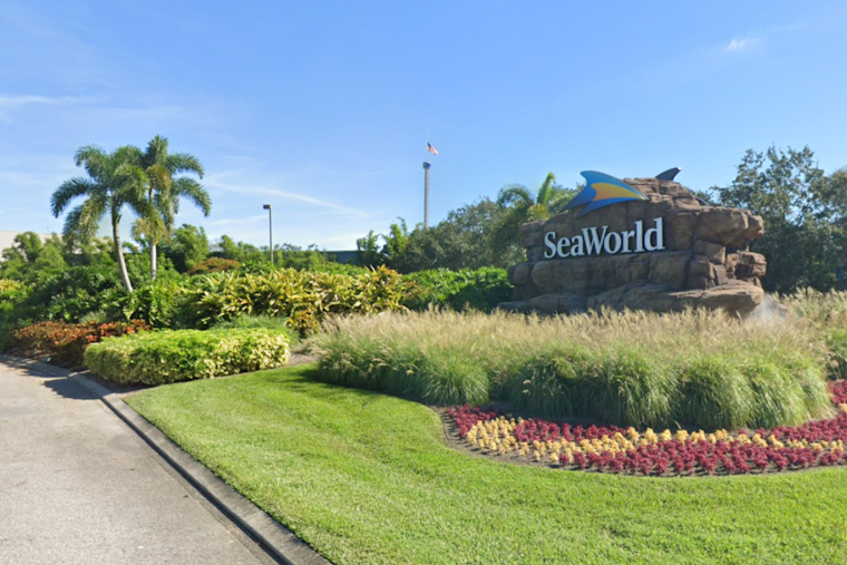 SeaWorld Orlando Unveils Chilly New 'Penguin Trek' Coaster Amid Summer