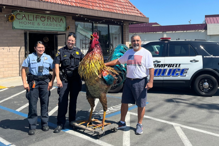 Stolen 6-Foot Metallic Rooster Statue Recovered in San Jose Park After