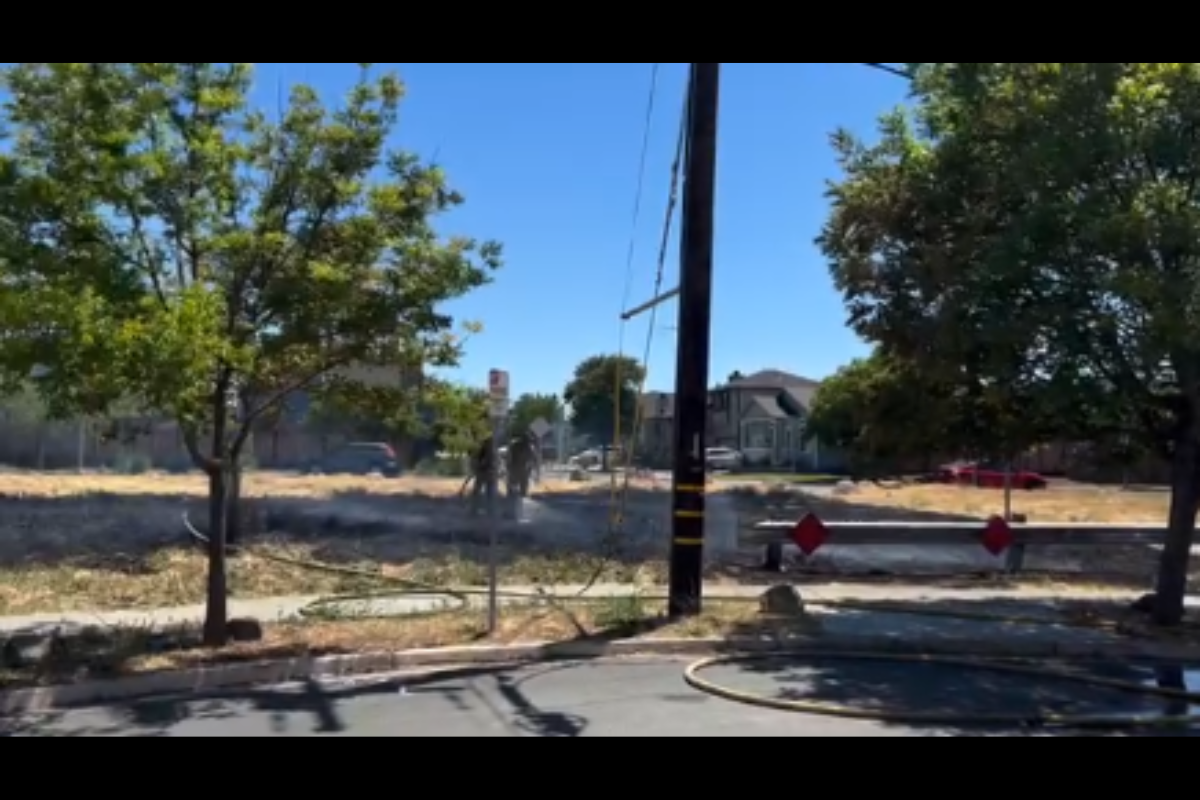 Swift Response From Santa Rosa Firefighters Quells Vegetation Fire,