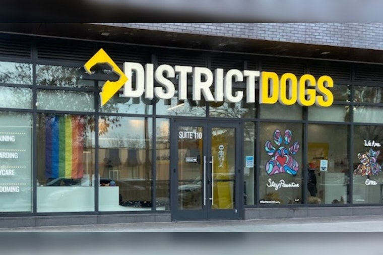 Tina Leone Takes the Reins as CEO of District Dogs Amid Ongoing