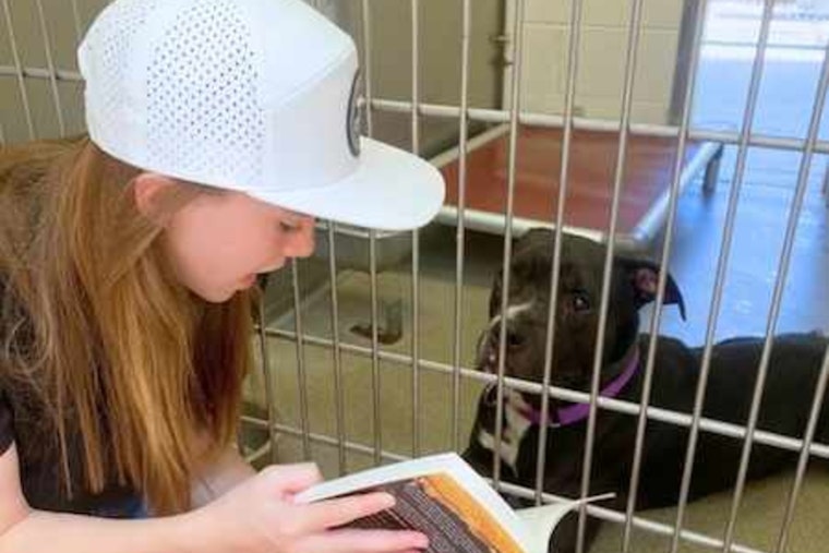 Tucson's Pima Animal Care Center Innovates with 'Paws and Pages'
