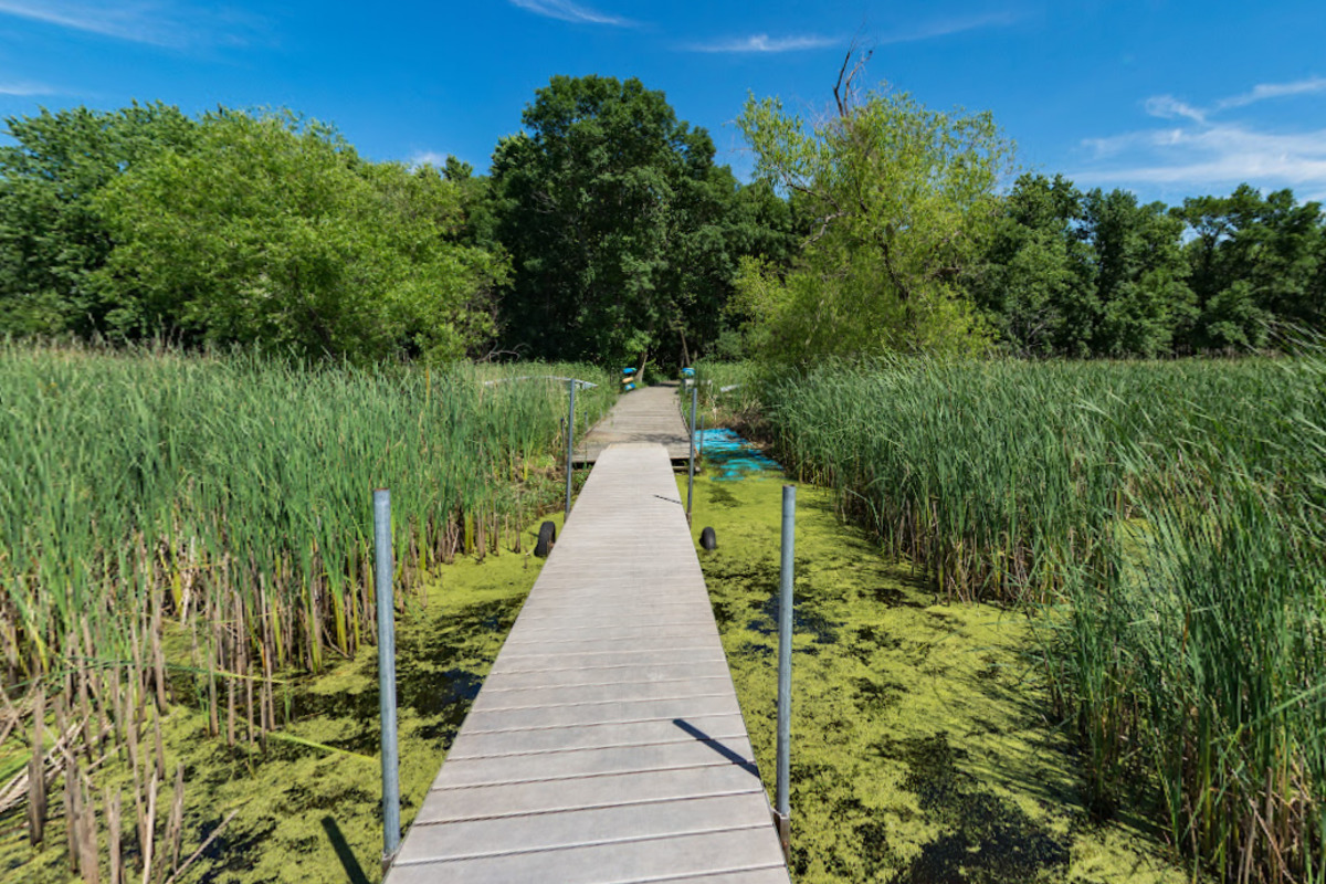 Wargo Nature Center Offers Summer Foraging Class for Aspiring Local