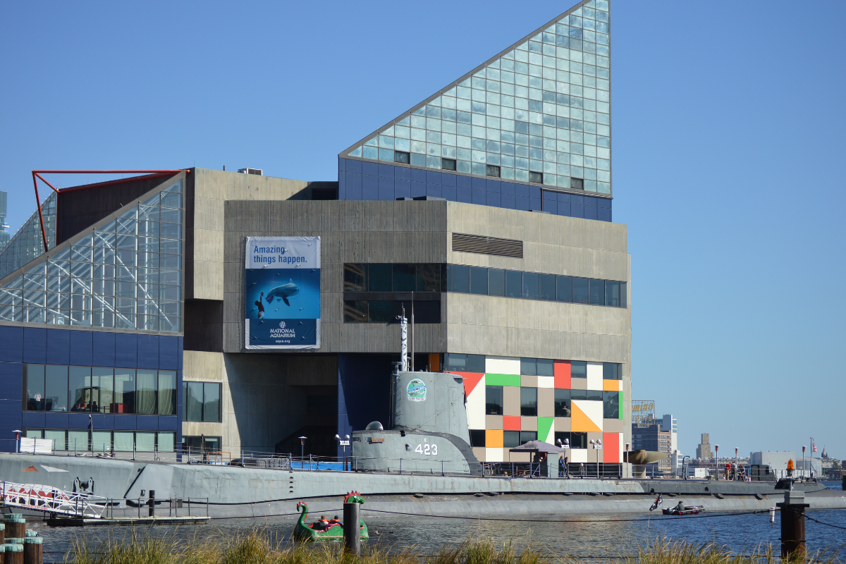 Baltimore's National Aquarium Unveils Revolutionary Harbor Wetland