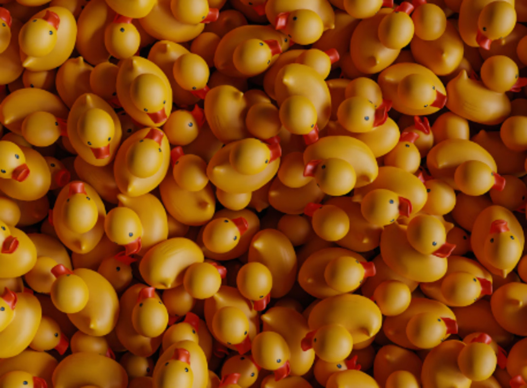 Chicago Ducky Derby Floats 100,000 Ducks for Special Olympics,