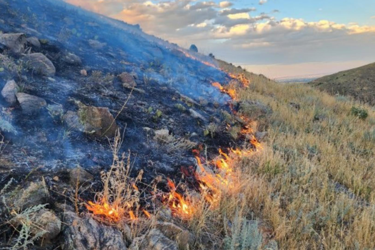 Containment of Goltra Fire Near Golden Hits 60% as Crews Battle