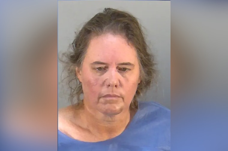 Florida Femme Fatale, Eustis Woman Julie Ann Sulpizio Charged with
