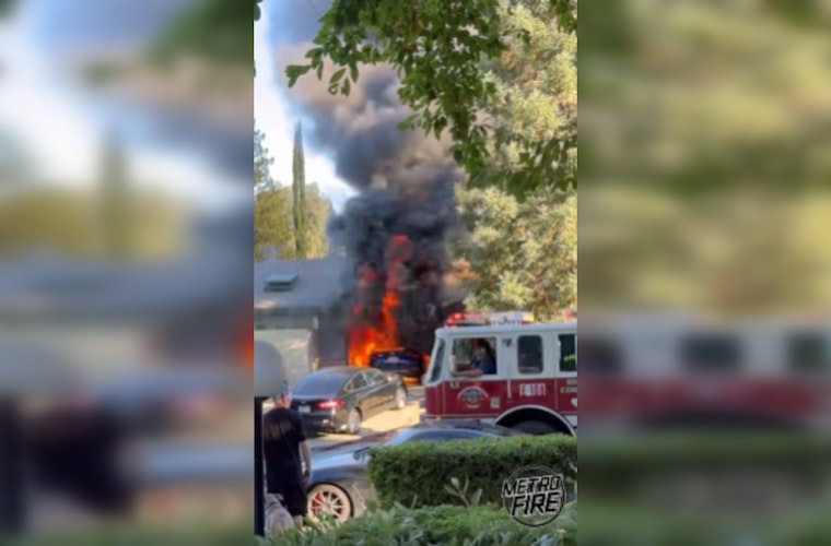 Heroic Firefighters Rescue Disabled Individual and Dog from Raging
