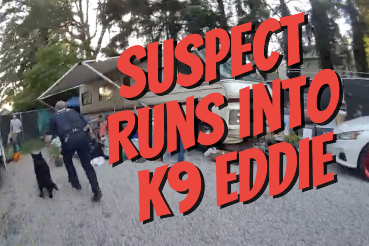 K9 Eddie and Pierce County Deputies Nab Suspect in Hot Pursuit of