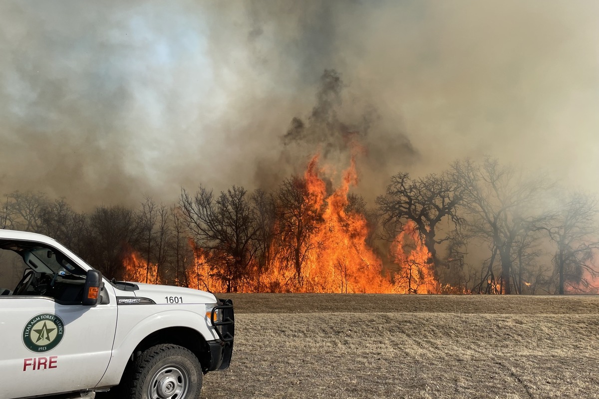 Mason County Struggles as "North Art Complex" Wildfire Engulfs 3,000