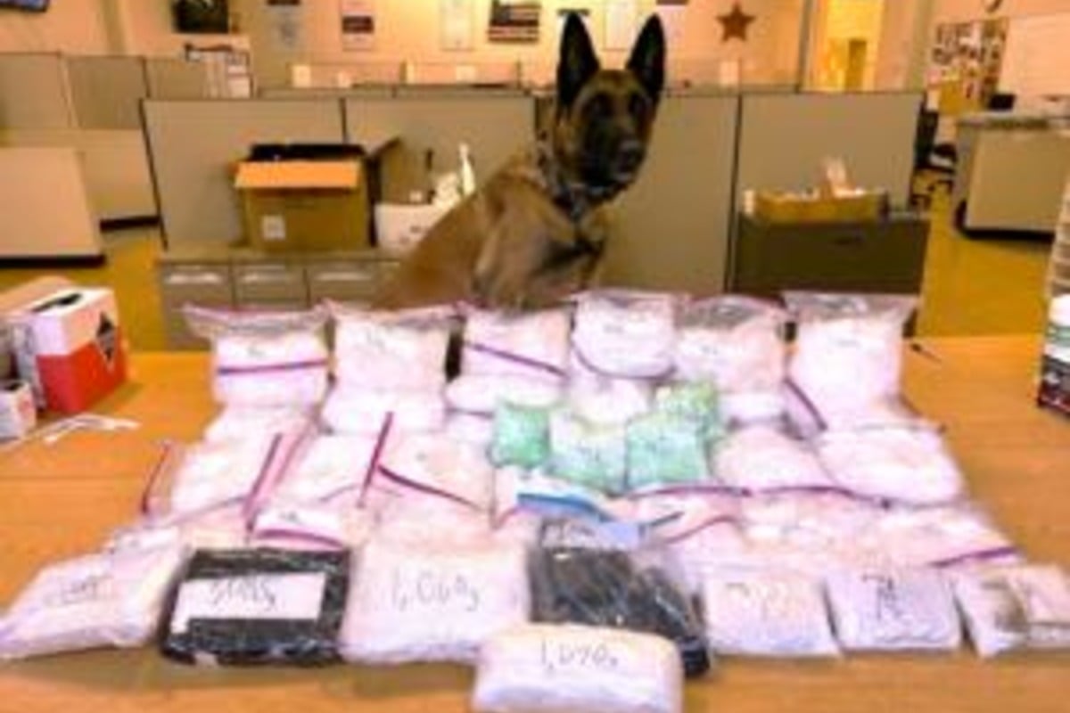 Portland Police Score Major Victory with Historic Interstate 5 Drug