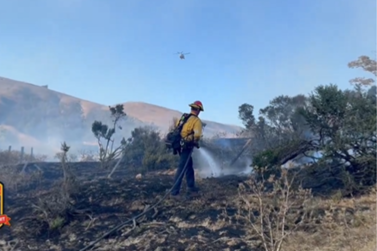 Rapid Firefighting Response Halts Southeast Napa County Wildfire, Road