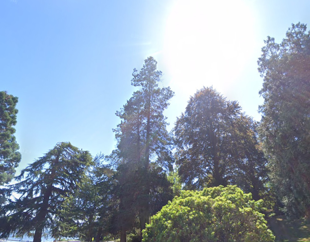 Seattle to Transition from Sunny Skies to Showers, Possible