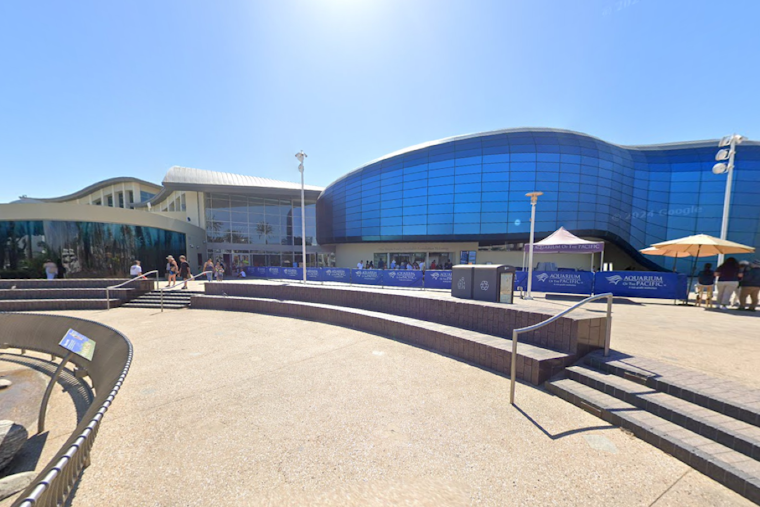 Southern California's Aquarium of the Pacific Mourns Loss of Beloved