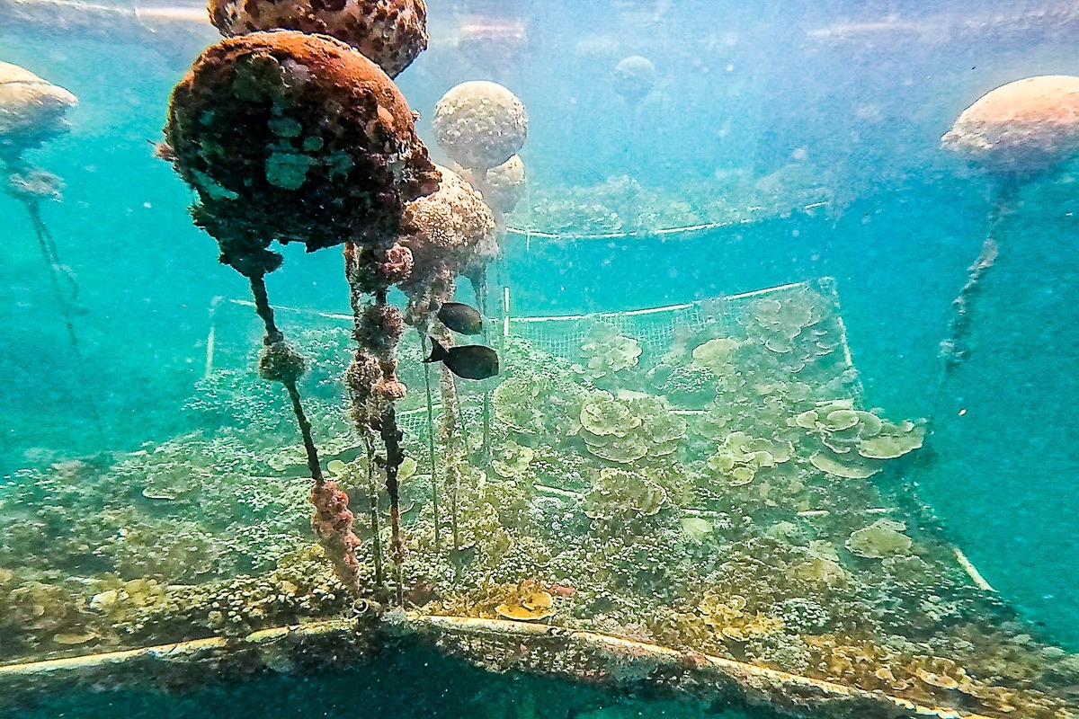 University of Hawaiʻi Hits a New Record with $615.7M in Extramural