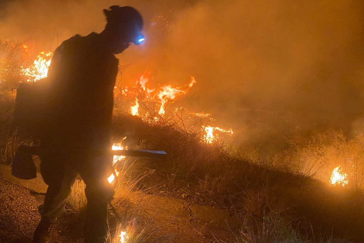 Cal Fire Engineer Cuffs for Allegedly Igniting Danger in NorCal, A