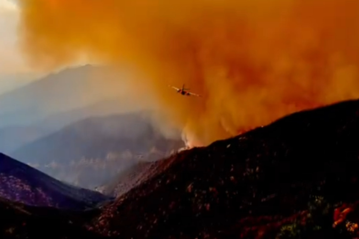 Bridge Fire Scorches Over 800 Acres in Angeles National Forest,