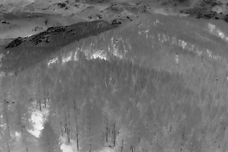 Douglas County Search and Rescue Responds to Unfounded SOS Signals