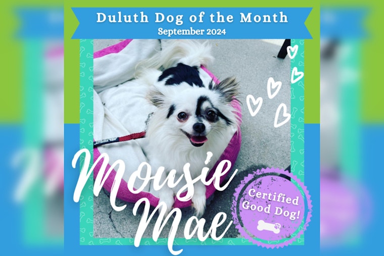Duluth Celebrates Mousie Mae as Dog of the Month for Environmental