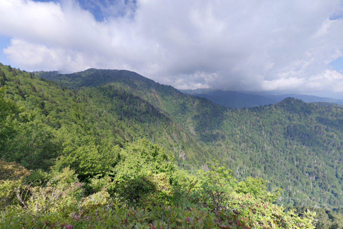 Great Smoky Mountains National Park's Flint Gap Fire 75% Contained,