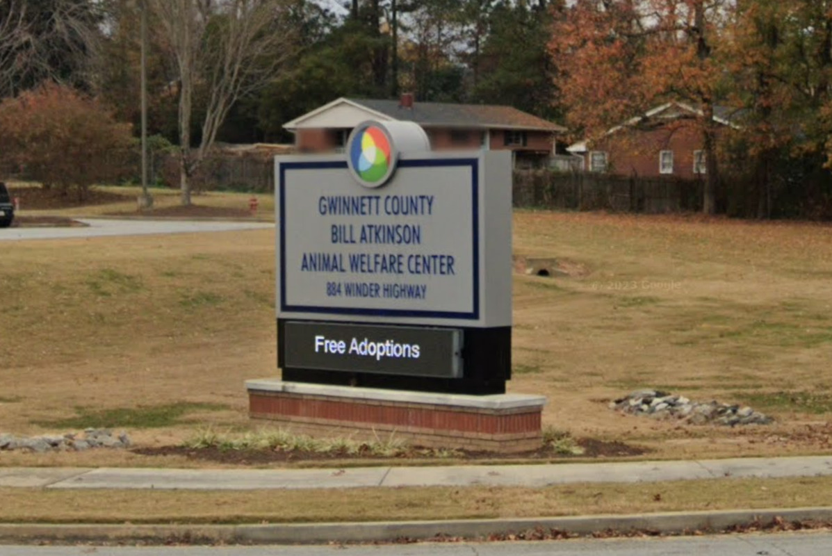Lilburn Resident Receives Prompt Treatment after Rabid Raccoon Bite,