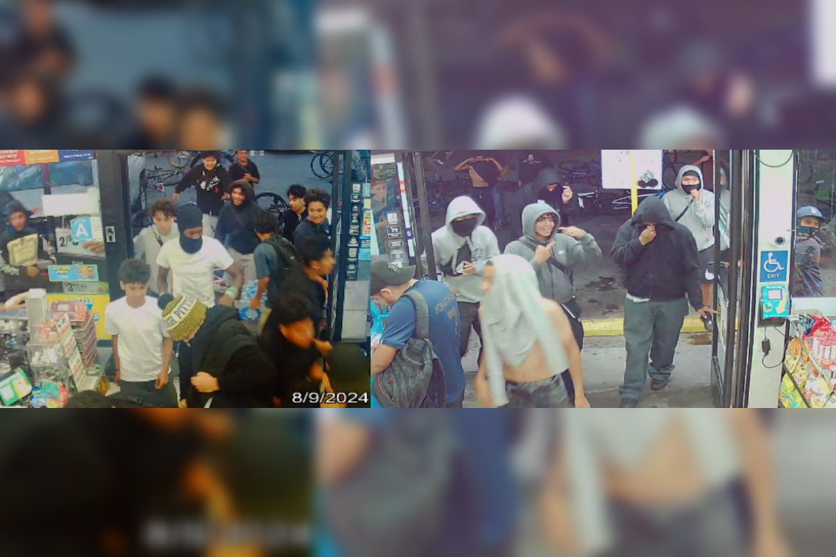 Los Angeles Police Intensify Hunt for Flash Mob Suspects in Series of