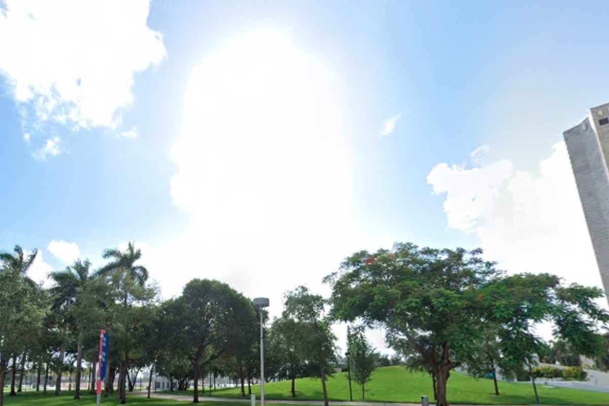 Miami Forecasts a Sun-Soaked Weekend With Brief Showers, Highs Near 90