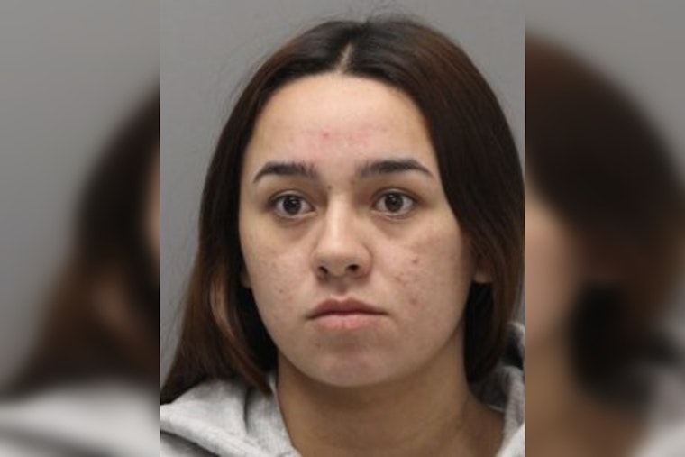 New York Duo Suspected Of Organized Retail Theft Arrested At