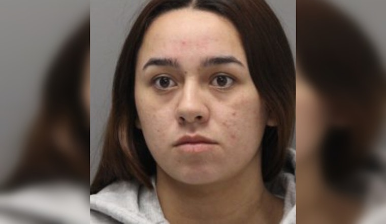 New York Duo Suspected Of Organized Retail Theft Arrested At