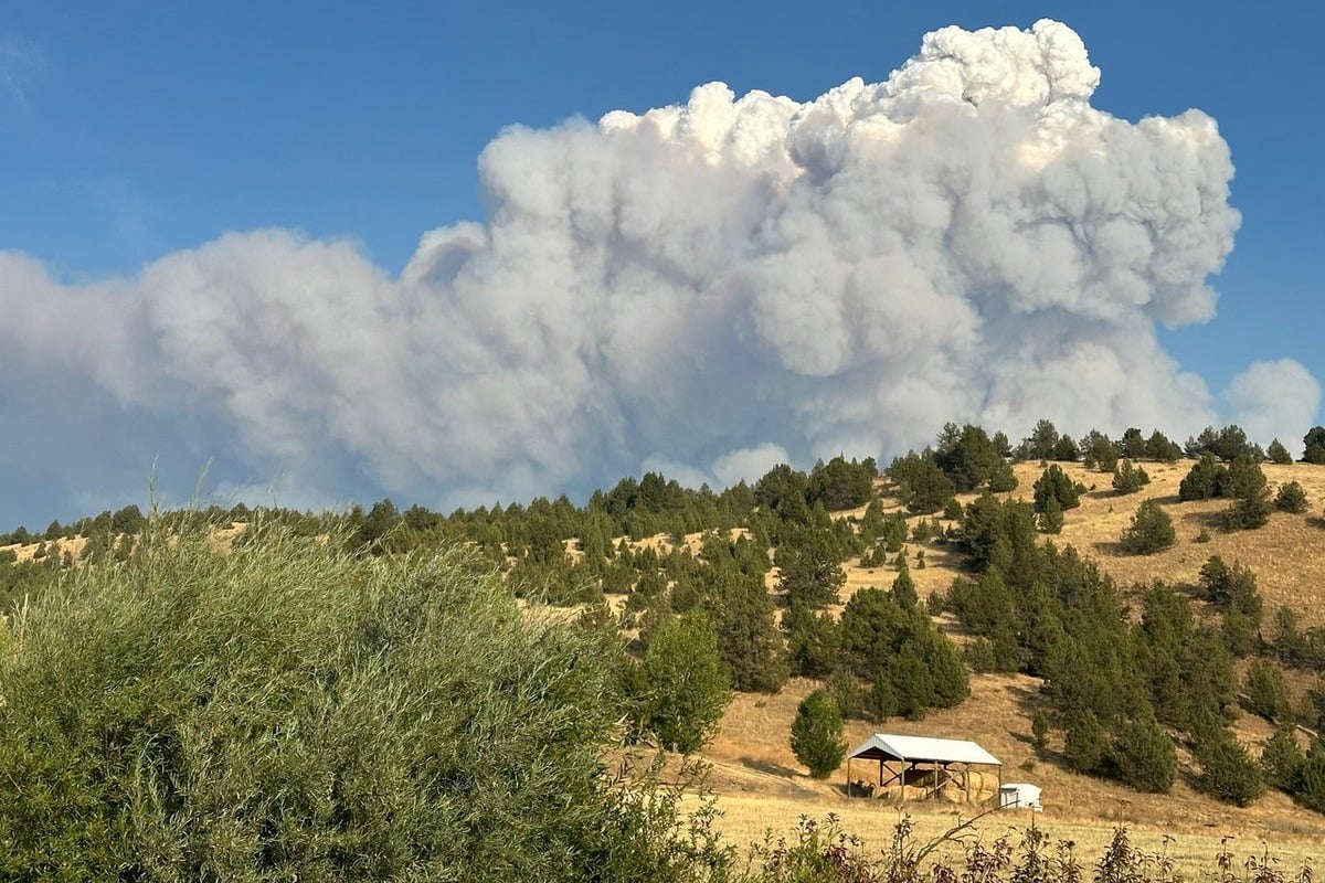 Oregon Bolsters Firefighting Efforts as Service Fire Burns 15,000