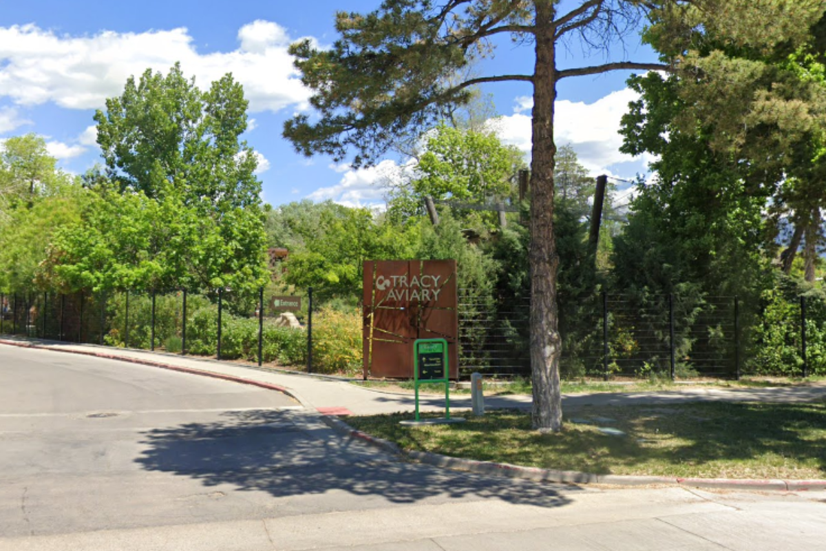 Salt Lake City Unveils $40K Statue of 'Celebirdy' Andy N. Condor at