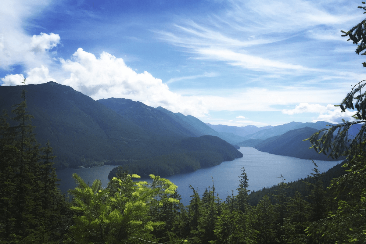 Seattle Public Utilities Launches Diverse New Customer Review Panel to