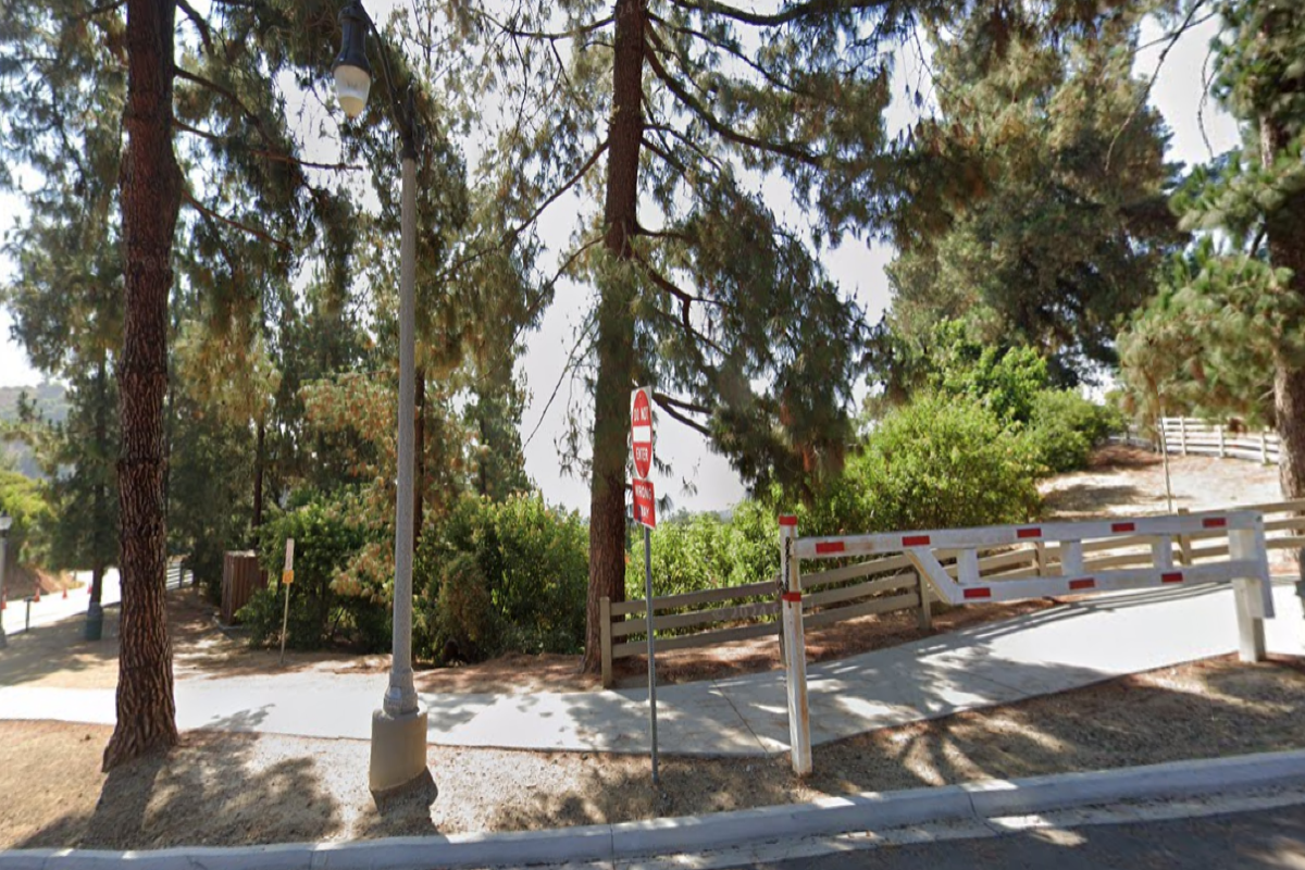 Stranded Hiker Safely Rescued from Steep Incline in Griffith Park by